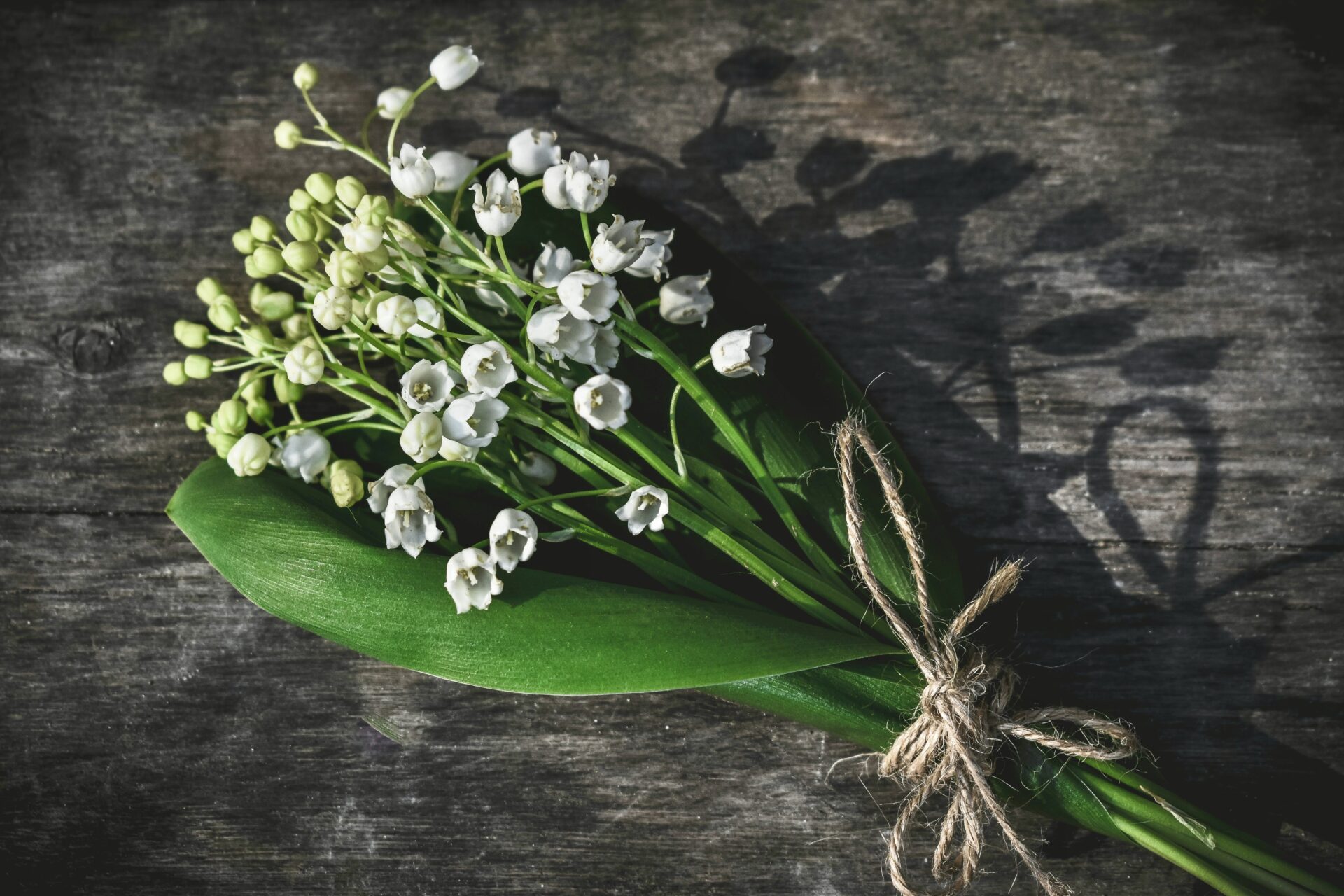 What Is an Intimate Funeral? Small, Meaningful Farewells | Aura Funerals