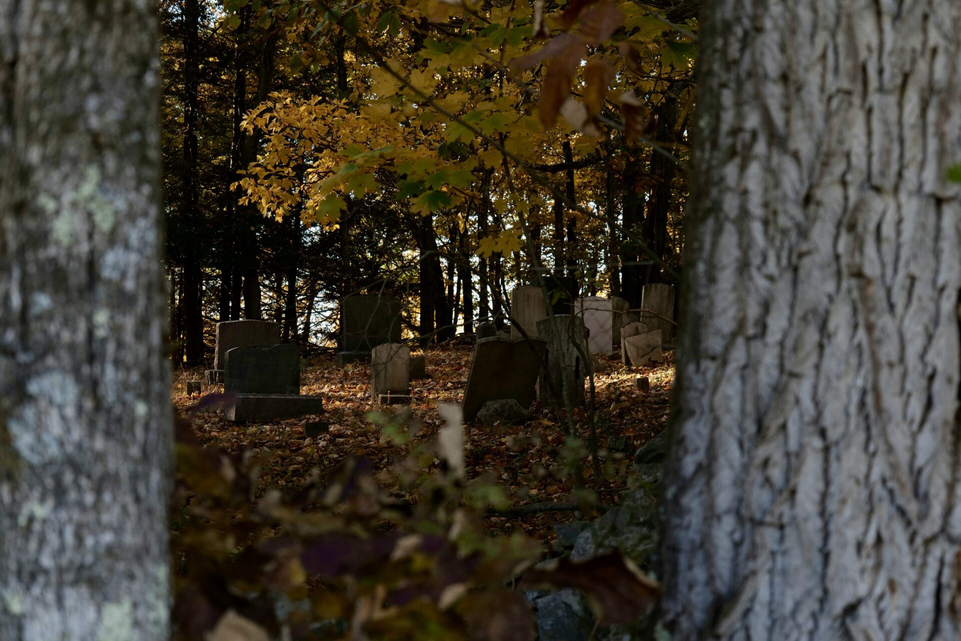 What Is a Pauper’s Funeral? Explained Simply | Aura Funerals